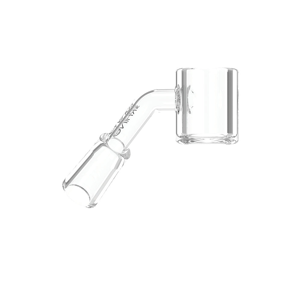 45 Degree 10MM Female Quartz Banger 4MM Thick Glass – White Rhino Products